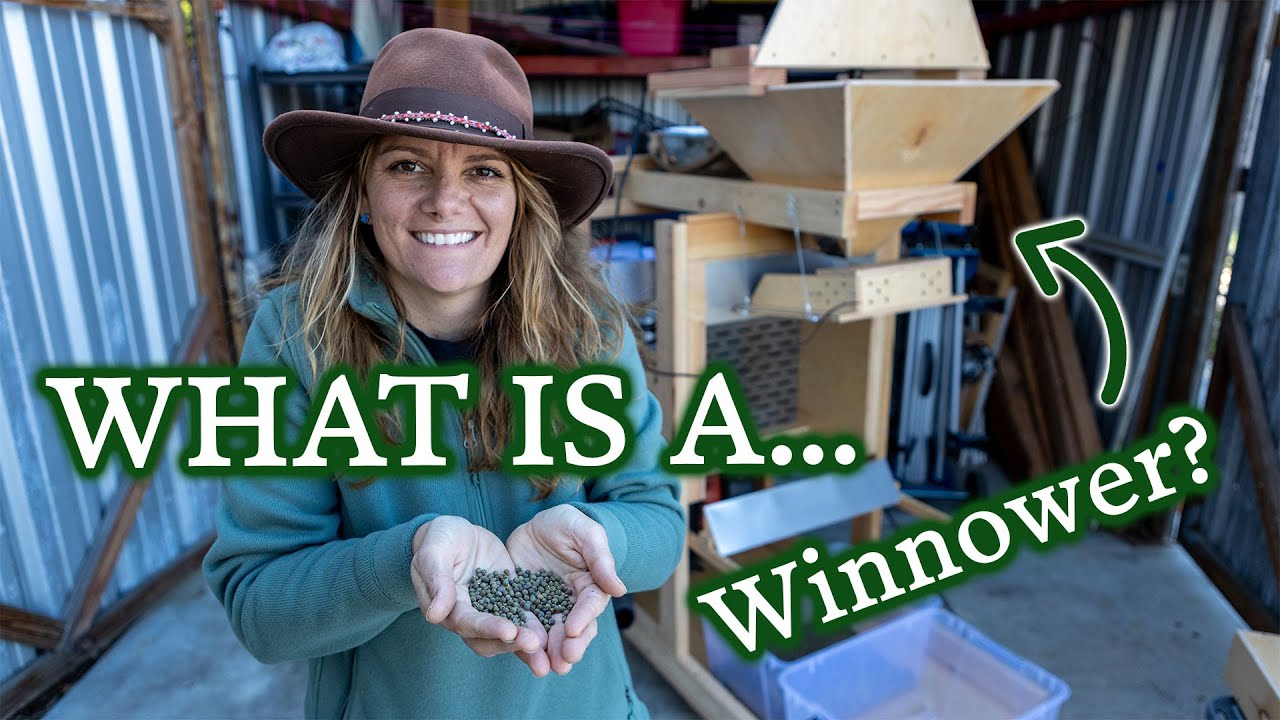 Take a peek behind the scenes & check out the WINNOWING MACHINE in ...