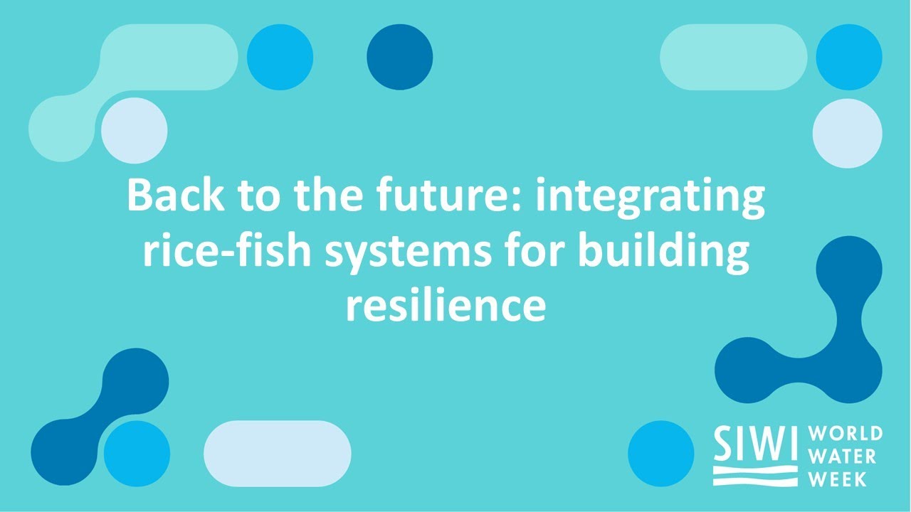 Back to the future: integrating rice-fish systems for building ...