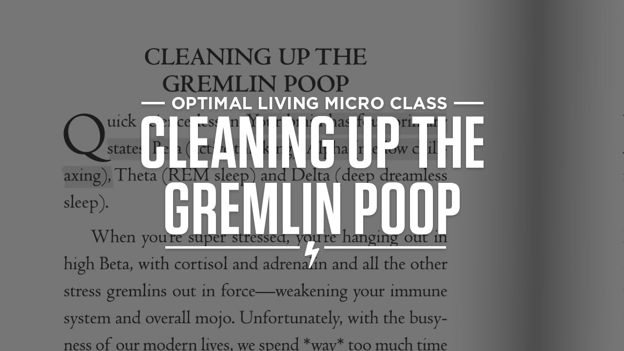 Cleaning Up The Gremlin Poop - YouTube