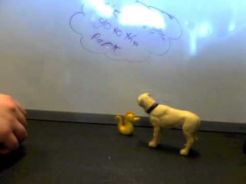 Stop Motion Program / Programme d'animation - YouTube