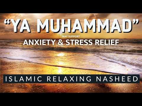 Regain Positivity with Islamic Music for Sleep, Insomnia, & Stress Relief | Anxiety Relief Music