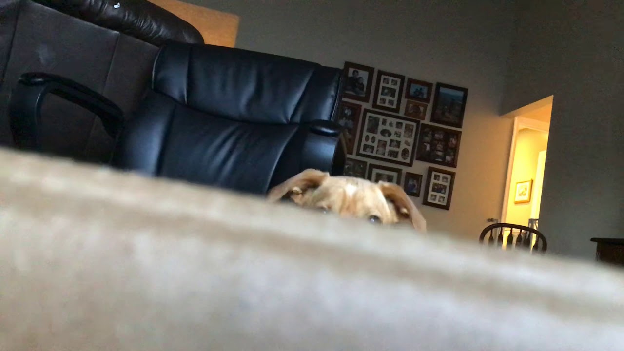 Stuck in box part 4 - YouTube