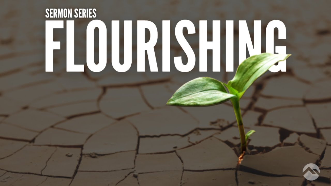 Flourishing - Part 4 (The Seed, The Soil, The Fruit) - YouTube