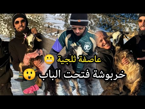 رشيد يتكلم لغة الخرابيش 😅 خربوشة سمعت كلام رشيد 😲 عاصفة ثلجية 😬 