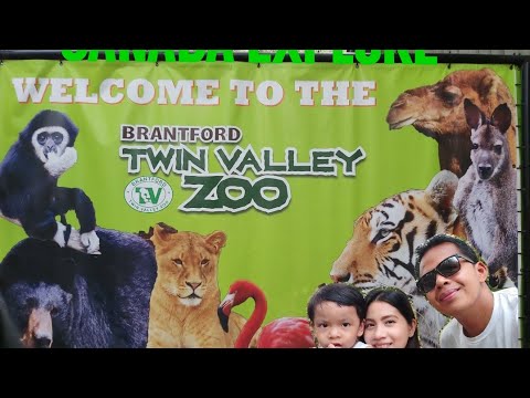 Twin valley zoo@brantford in Ontario Canada 2021 - YouTube