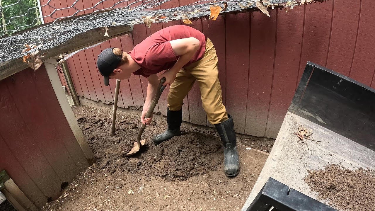 Cleaning a Dirty Chicken Coup Pen - YouTube