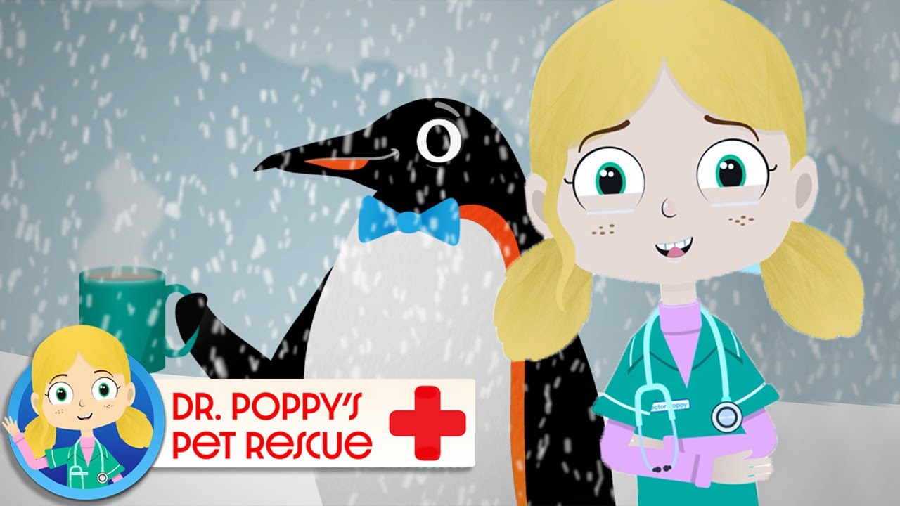 Chilly The Penguin | Doctor Poppy - Animals For Kids | Cartoon Animals ...