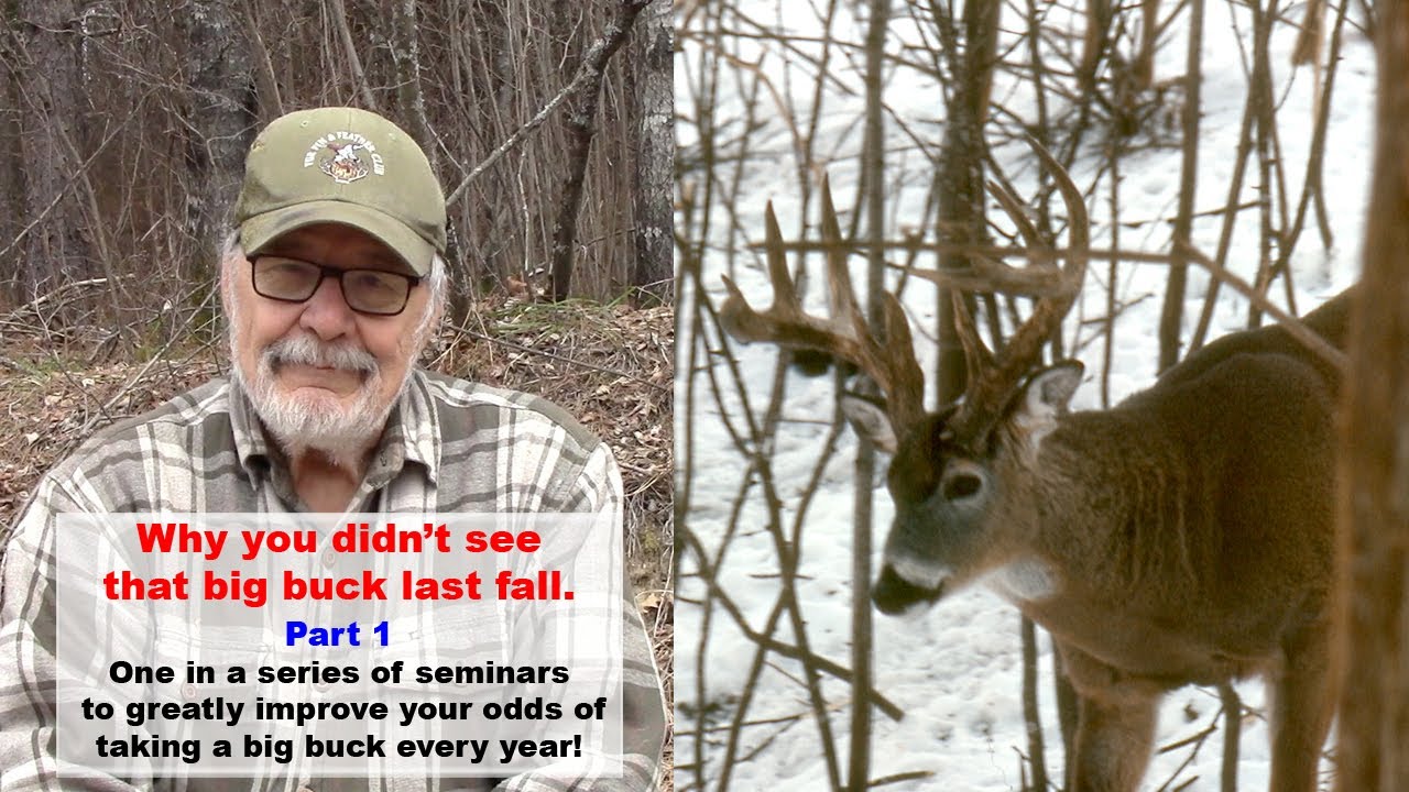 Why you didn't see that big buck last fall — Part 1 (Deerhunting) - YouTube