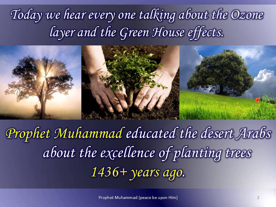 Prophet Muhammad emphasized the excelence of planting trees more than ...