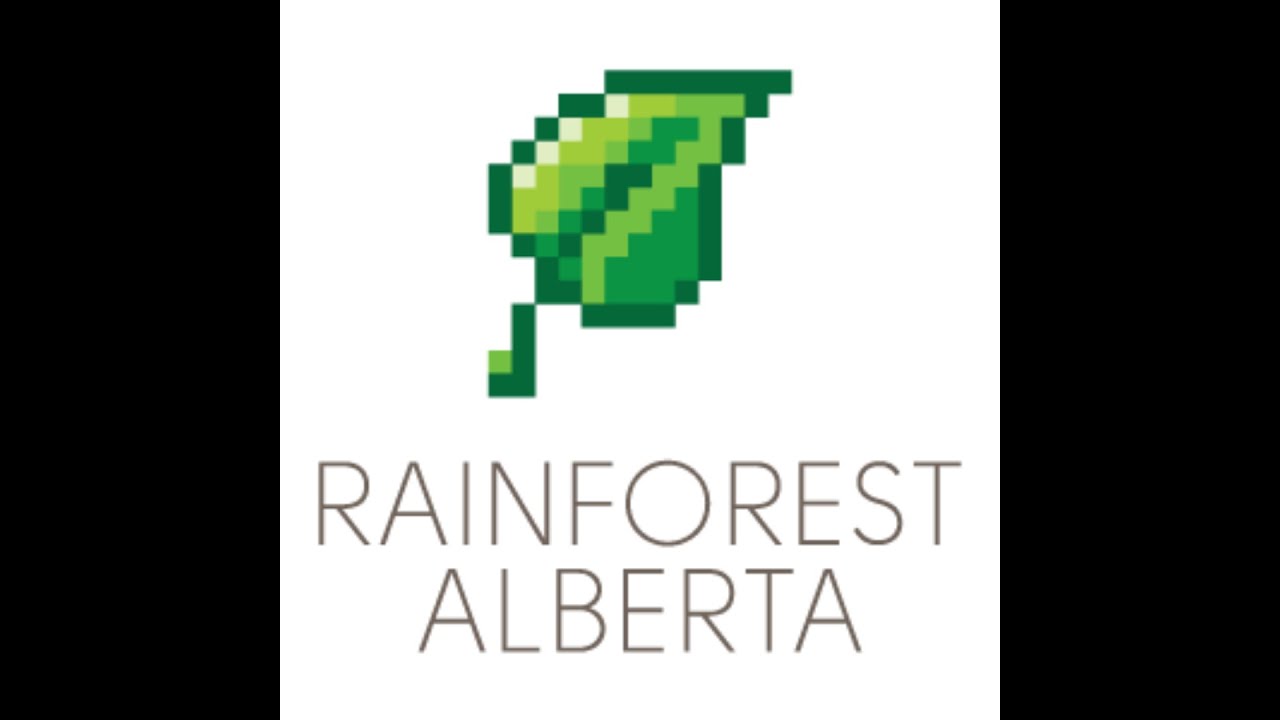What is Rainforest Alberta - YouTube