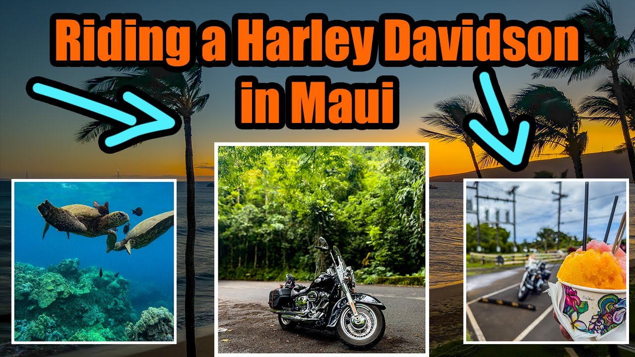 The Road to Hana on a HARLEY DAVIDSON l Maui, Hawaii l Eagle Rider ...