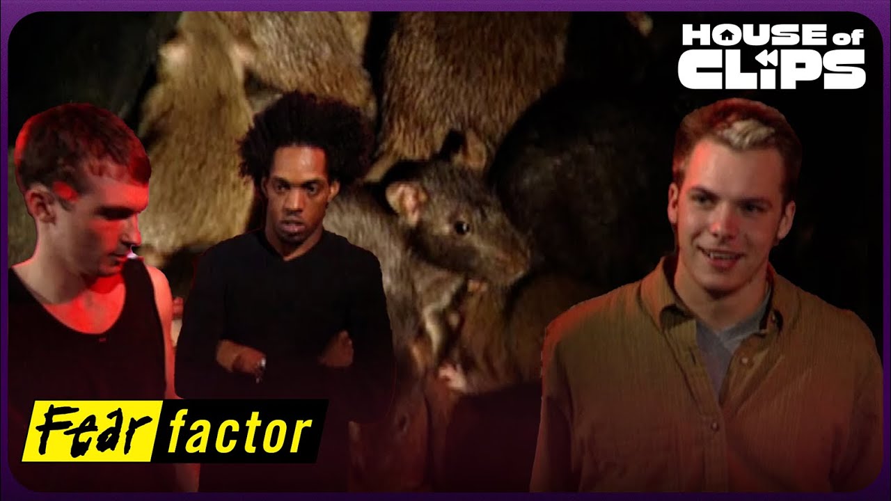 4 Minutes with 400 Rats | Fear Factor - YouTube