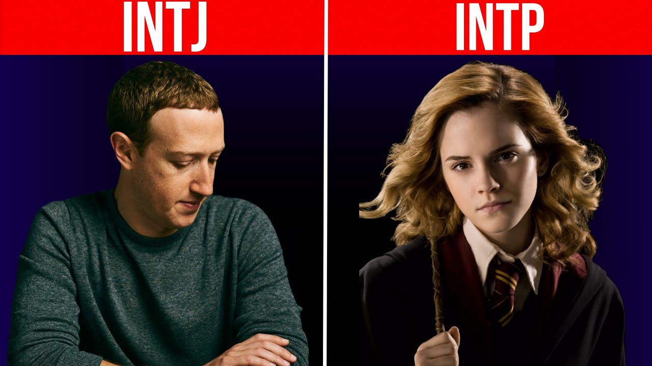 INTJ vs INTP - 8 Differences Between INTJ and INTP - YouTube