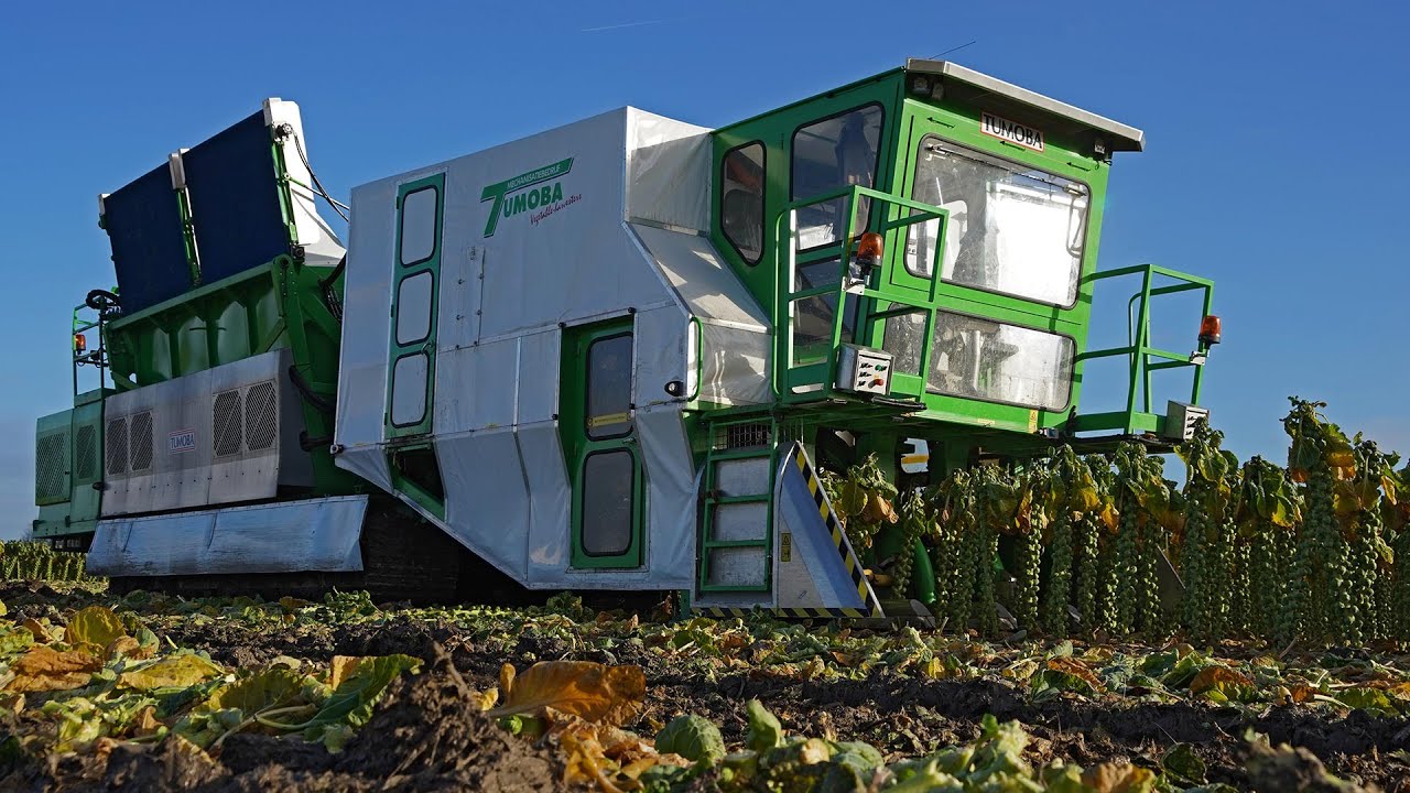 Amazing robotic brussels sprout harvester! | World premiere | Tumoba ...