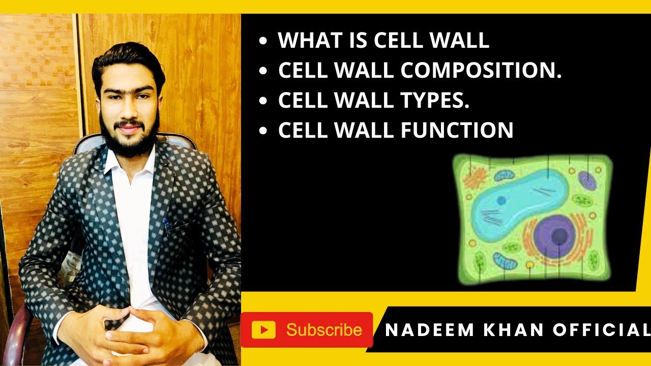 What Is Cell Wall Cell Wall Composition Types Functions urdu Hindi what-is-cell-wall-cell-wall-composition-types-functions-urdu-hindi