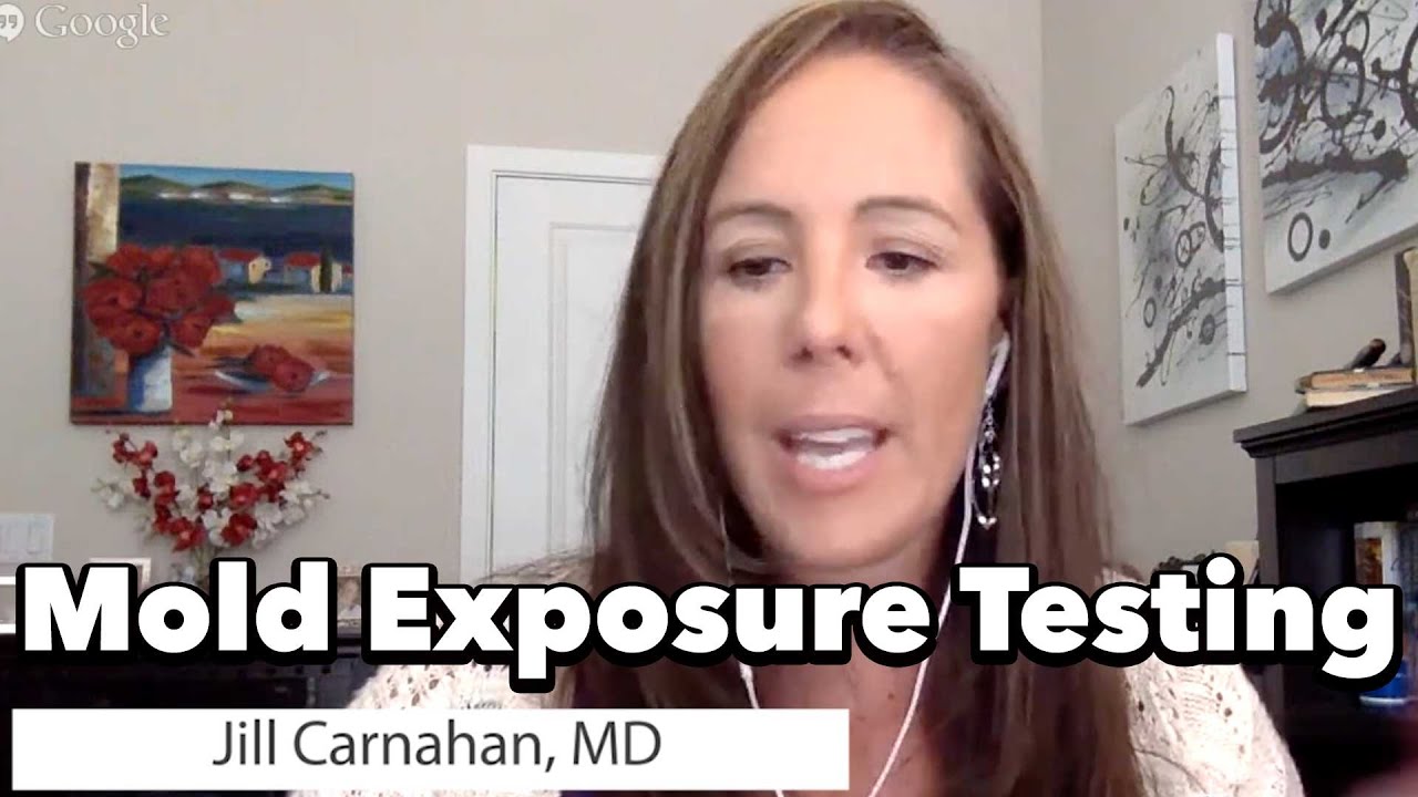 Mold Testing & Mold Toxins by Dr. Jill Carnahan - YouTube