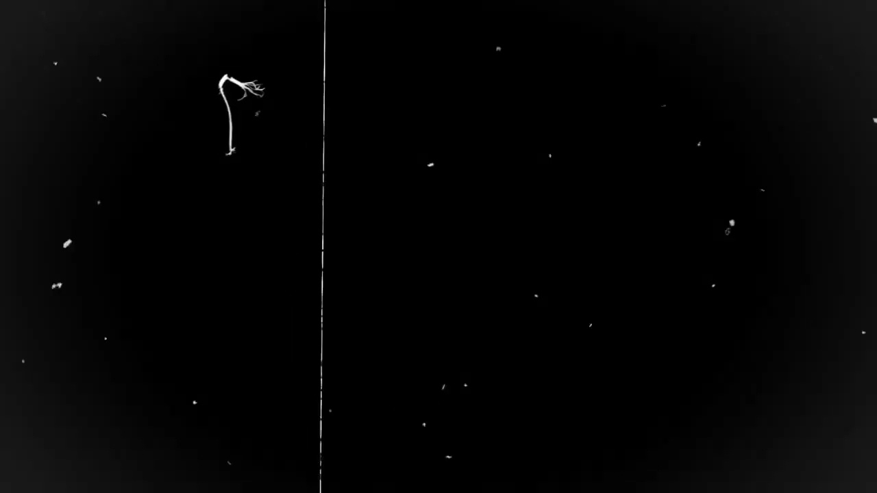 OLD FILM GRAIN (EDITING OVERLAY) - YouTube