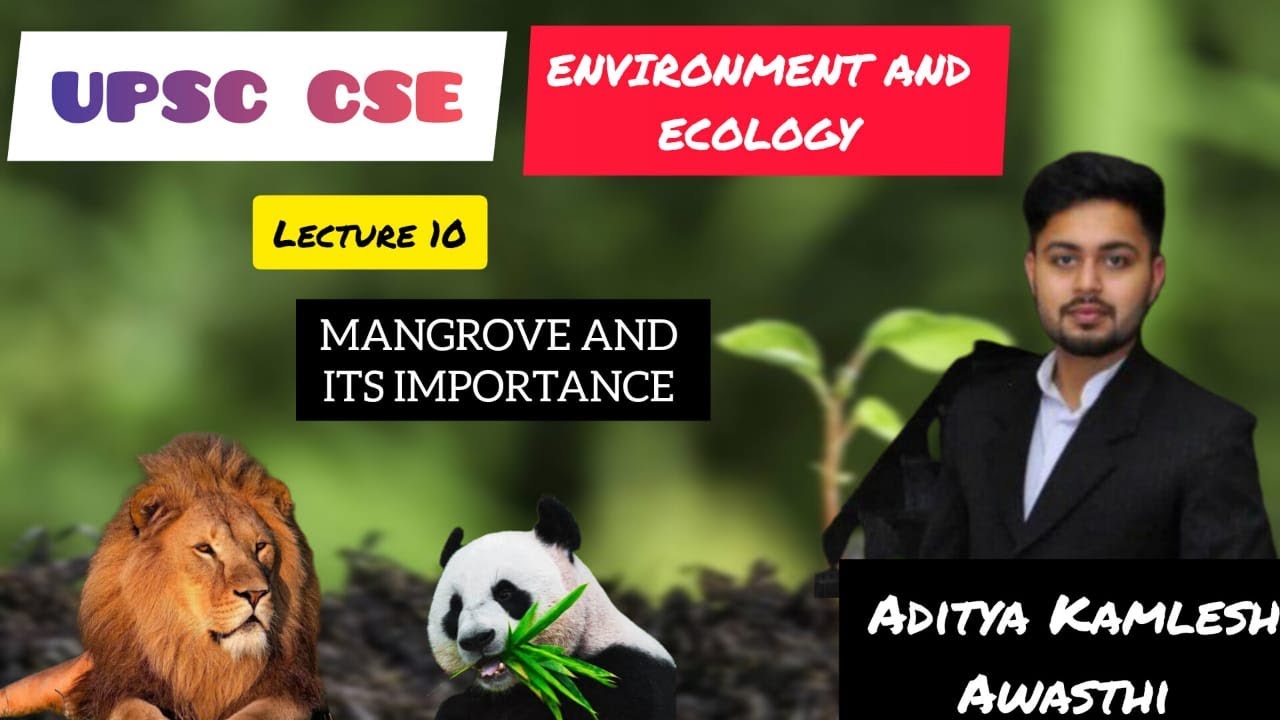 MANGROVES | BIODIVERSITY - 4 | LECTURE 10 | EVIRONMENT AND ECOLOGY ...