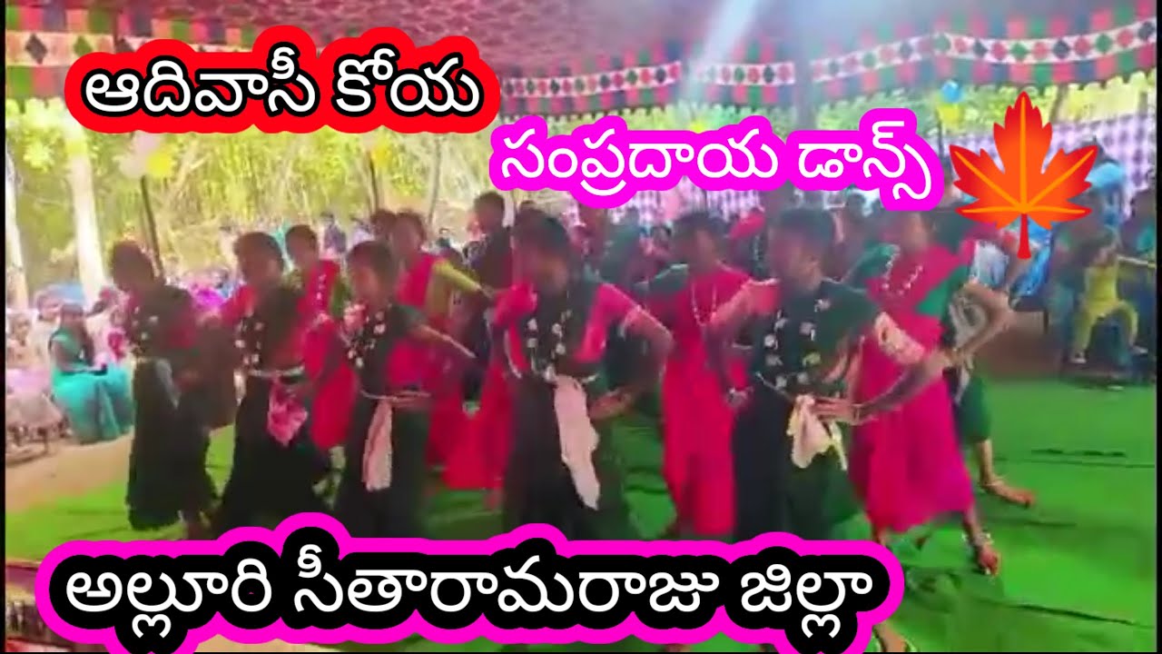 ఆదివాసీల కోయ డాన్స్🌻🌻#Adivasi traditional dance#St koya tribes,Asr ...