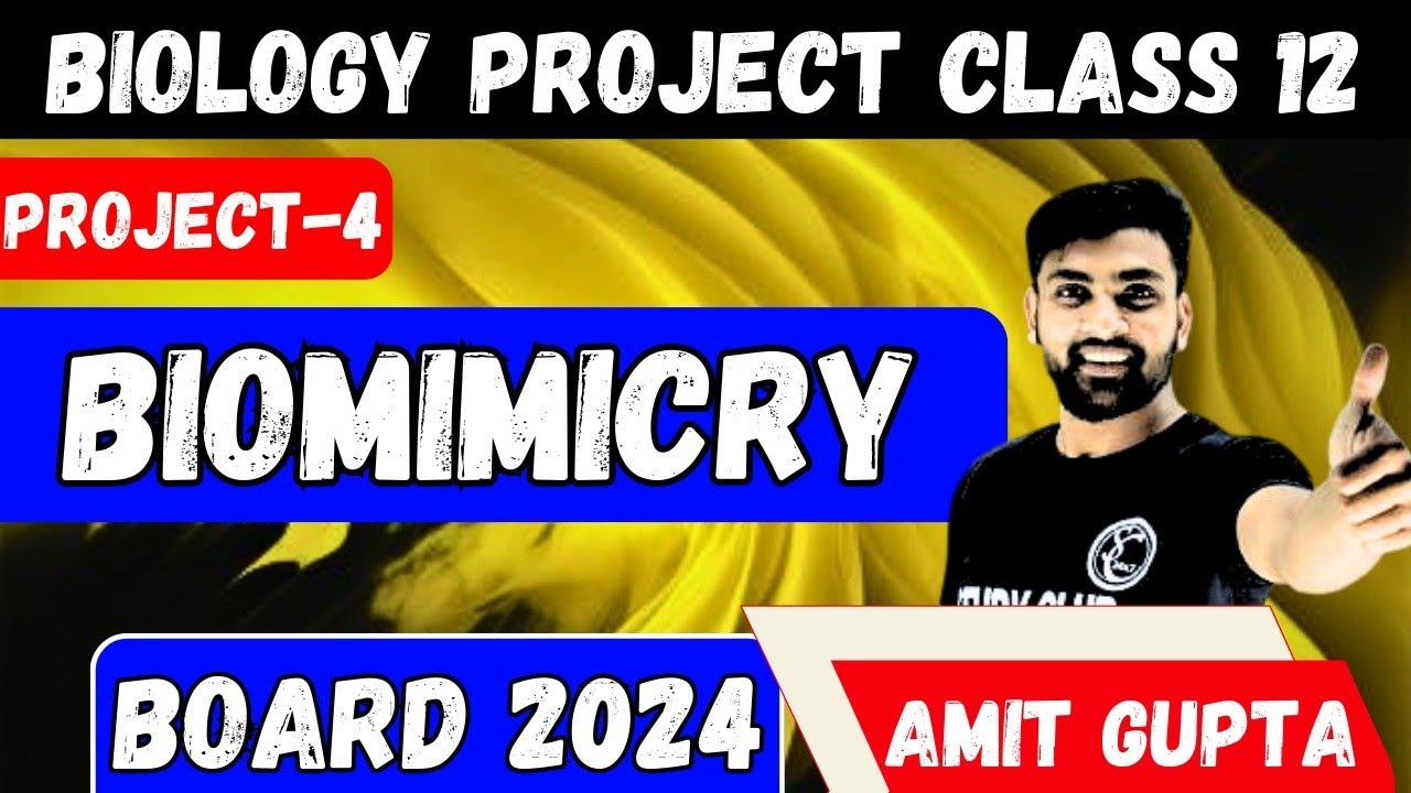 Biology Project Class 12 | Biomimicry Project Ideas | Biomimicry ...