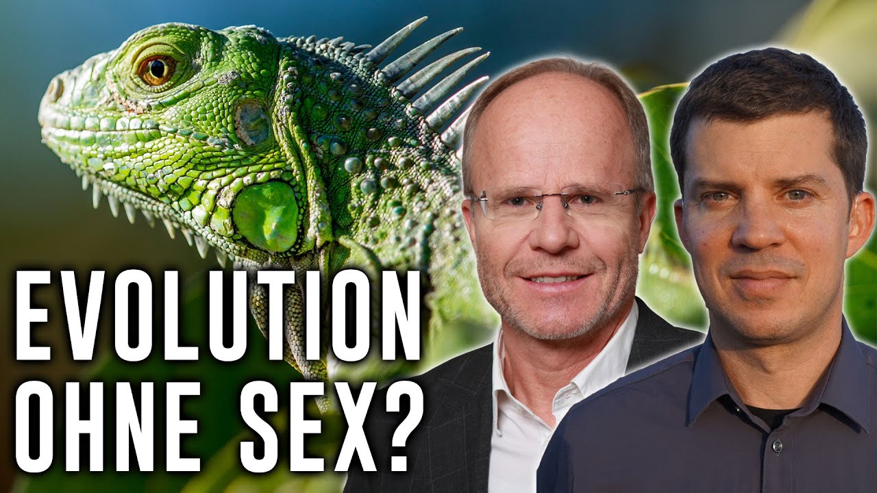Evolution ohne Sex? - Frank Lyko & Thomas Junker - DAI Heidelberg - YouTube
