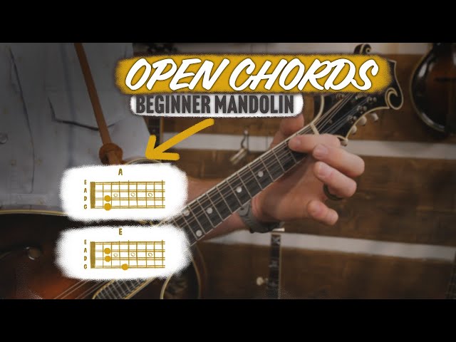 Mandolin Chords E Flat 2714