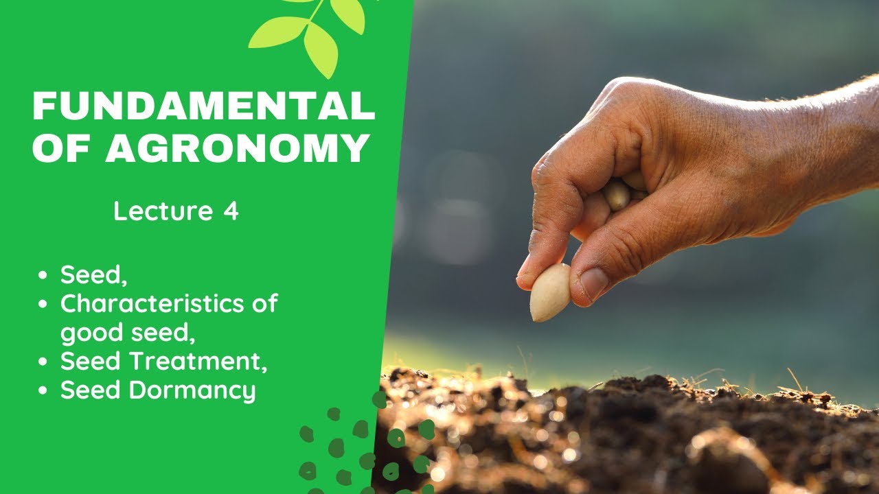 FUNDAMENTAL OF AGRONOMY# LEC 4 Seed, Characteristics of good seed, Seed ...