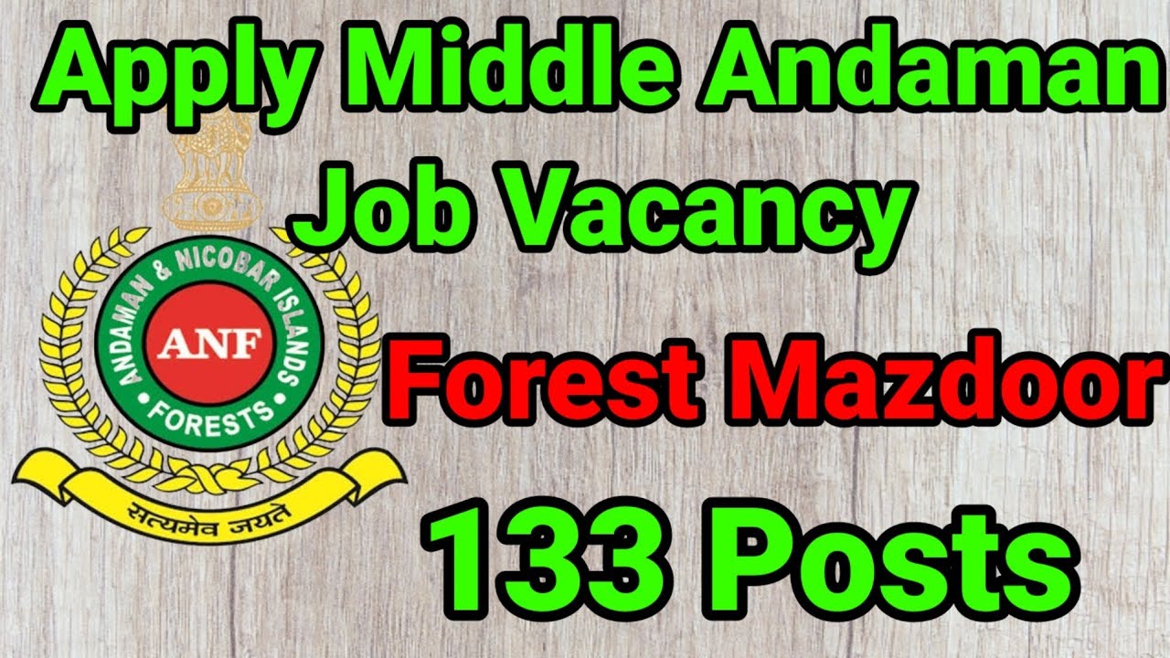 Forest Mazdoor main apply kaise kare |Middle Andaman Forest Mazdoor ...