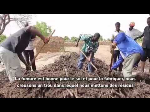 Technique améliorée de production de fumure organique - YouTube