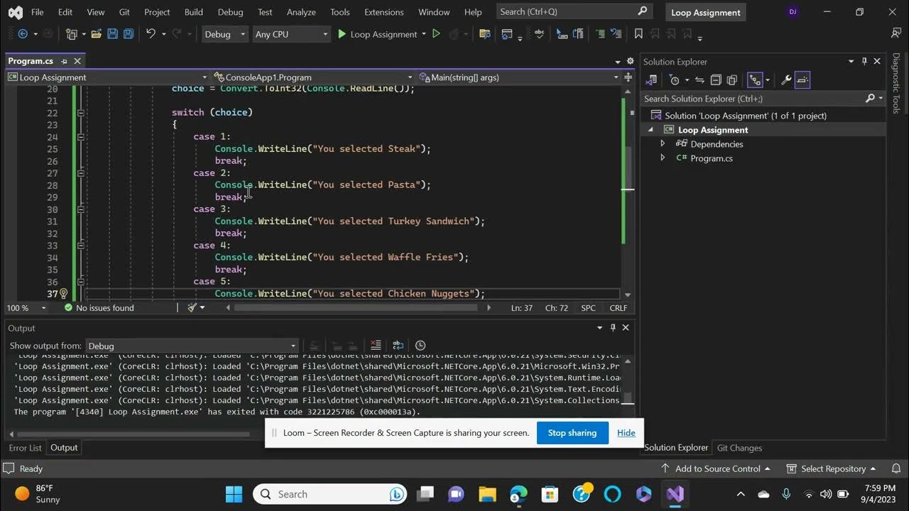 Loops Assignment Explanation - YouTube