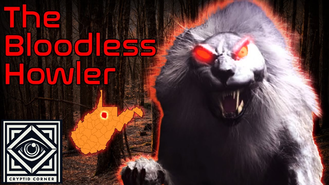 The Bloodless Howler | The Appalachian Chupacabra - YouTube