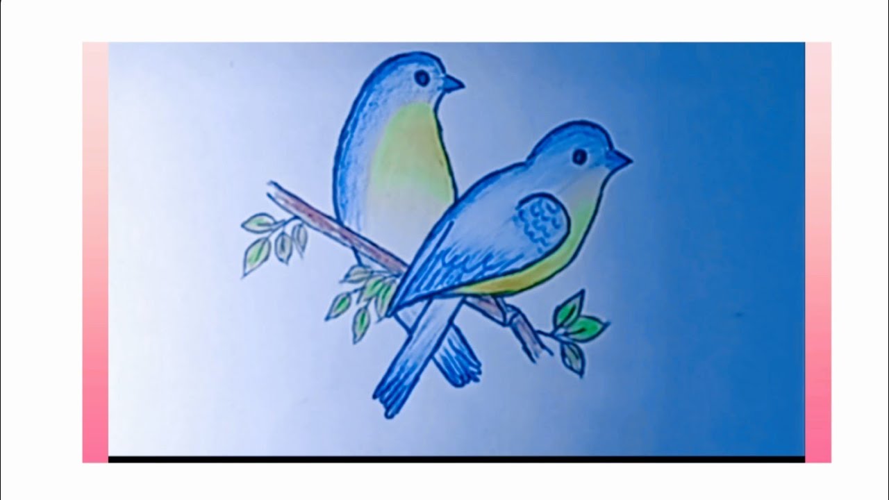 bird drawing simple and easy // draw birds with color - YouTube