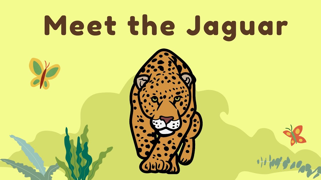 Jaguar Facts for Kids: The King of the Rainforest! 🐆 #Jaguars # ...