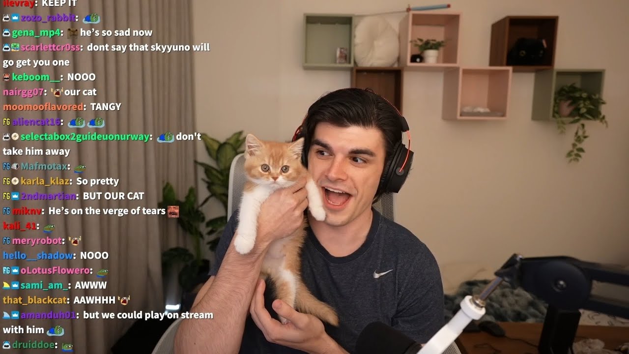 "Foolish's" NEW Cat! (Foolish JR) - YouTube