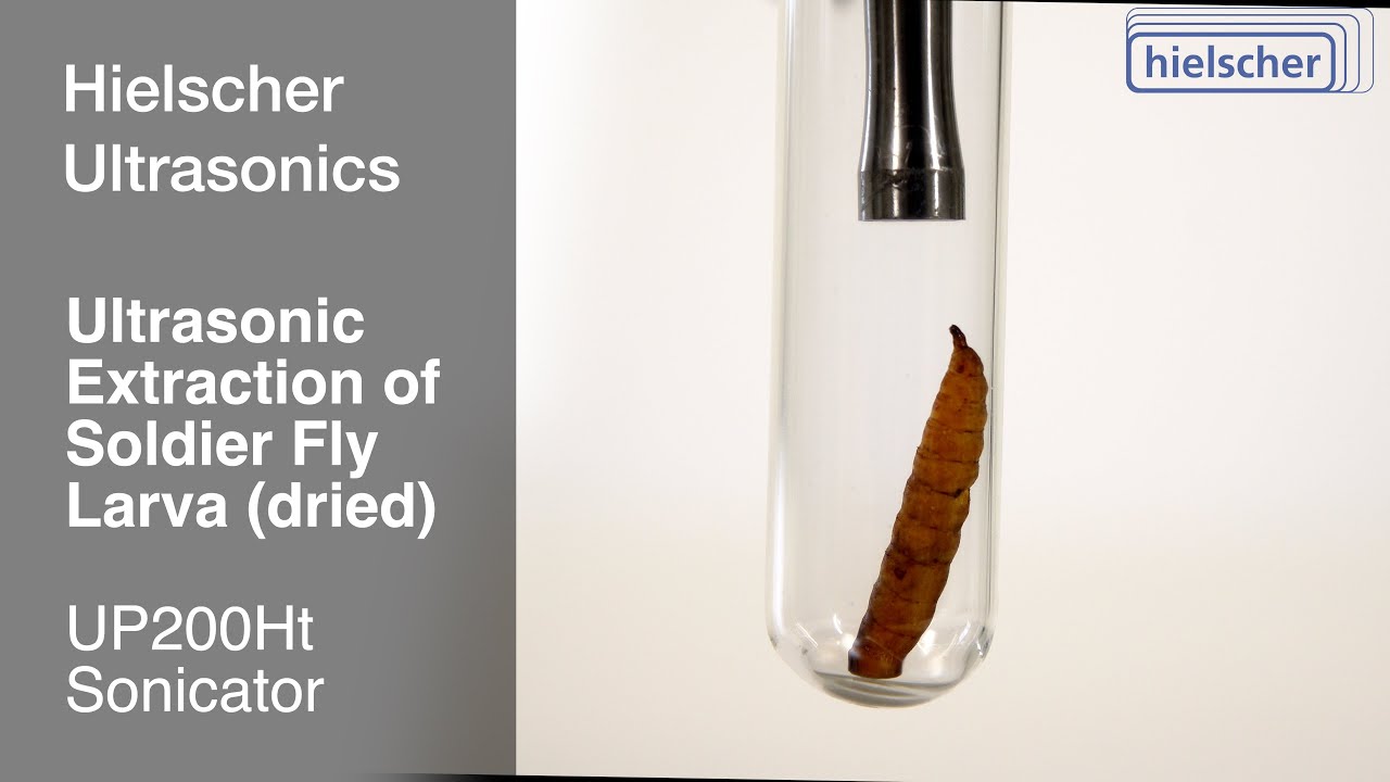 Soldier Fly Larvae Extraction in Water Using an Ultrasonic Homogenizer ...