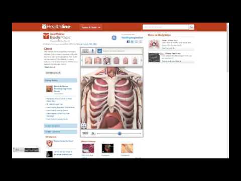 healthline body maps - YouTube