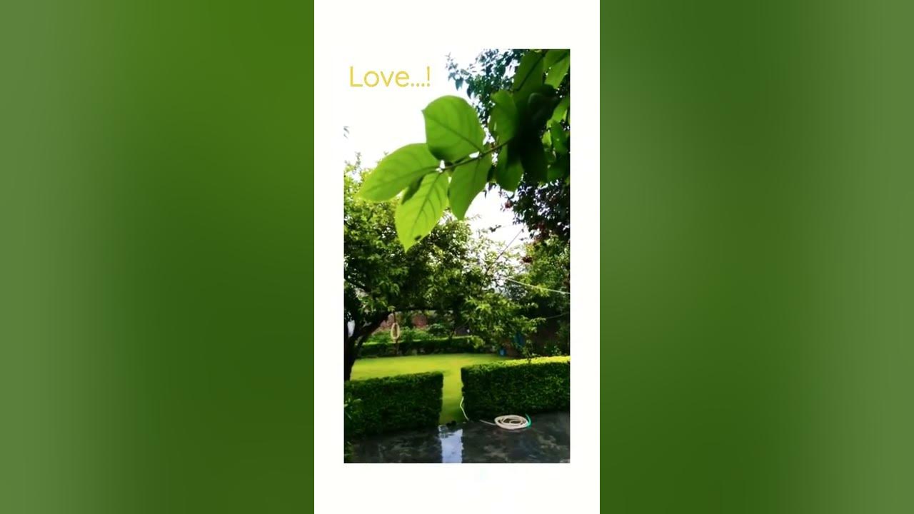 Lovely Place YouTube lovely-place-youtube