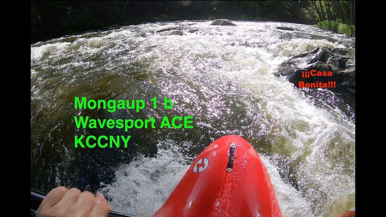 Mongaup River - Wavesport ACE - YouTube