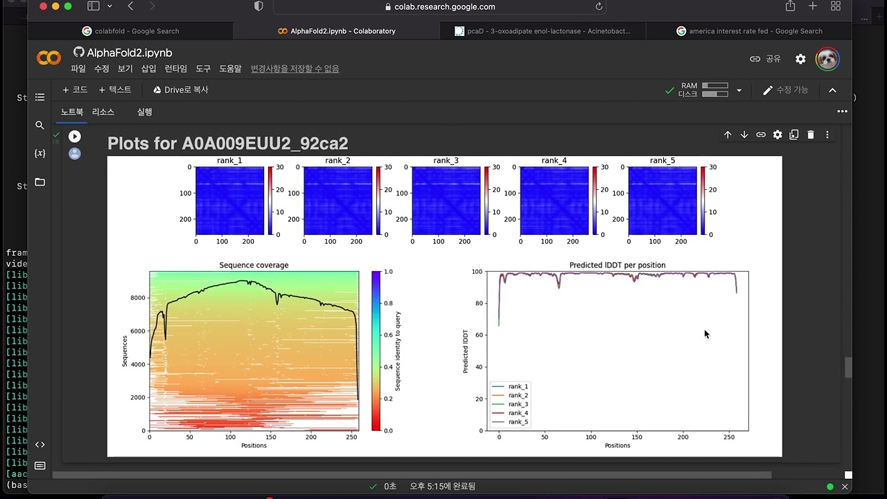 구글 colab와 알파폴드(ColabFold)를 이용한 단백질 구조 모델링 실습 3 (ColabFold practice3 ...