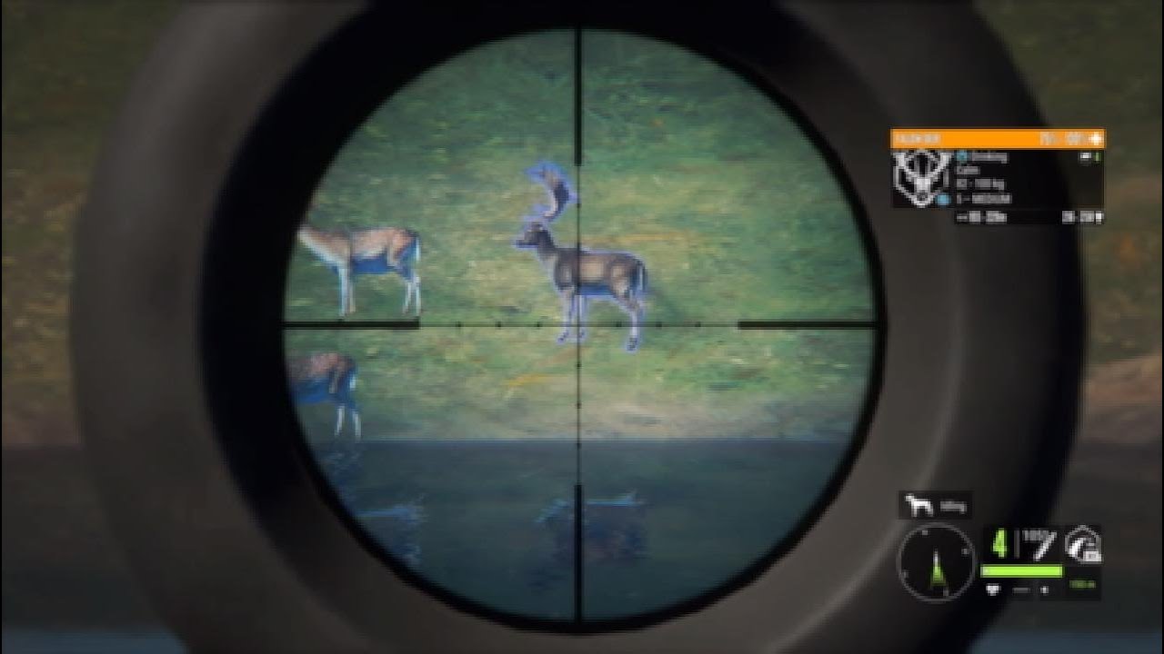Diamond Fallow Deer | theHunter: Call of the Wild - YouTube