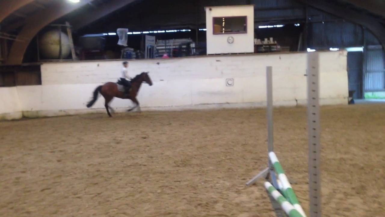 Calvin Mak - YouTube