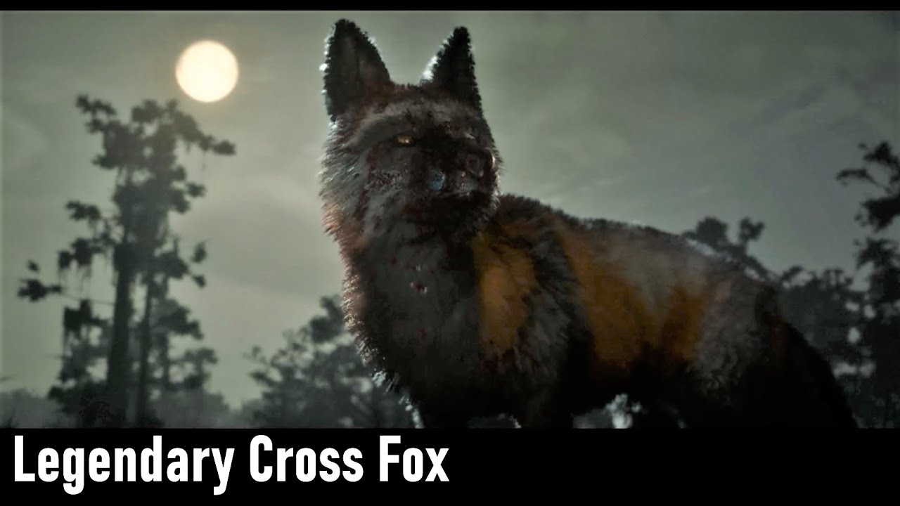 Red Dead Online Legendary Fox Mission (Naturalist Role) - YouTube