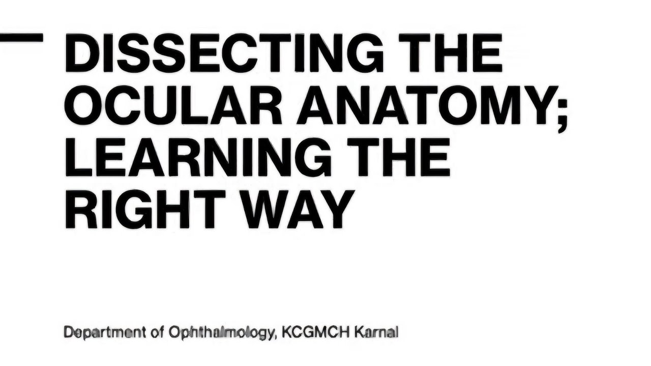 Dissecting the Ocular Anatomy | A Comprehensive Guide by Eye Surgeon # ...