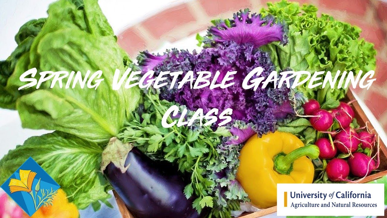 Spring Vegetable Gardening - - YouTube