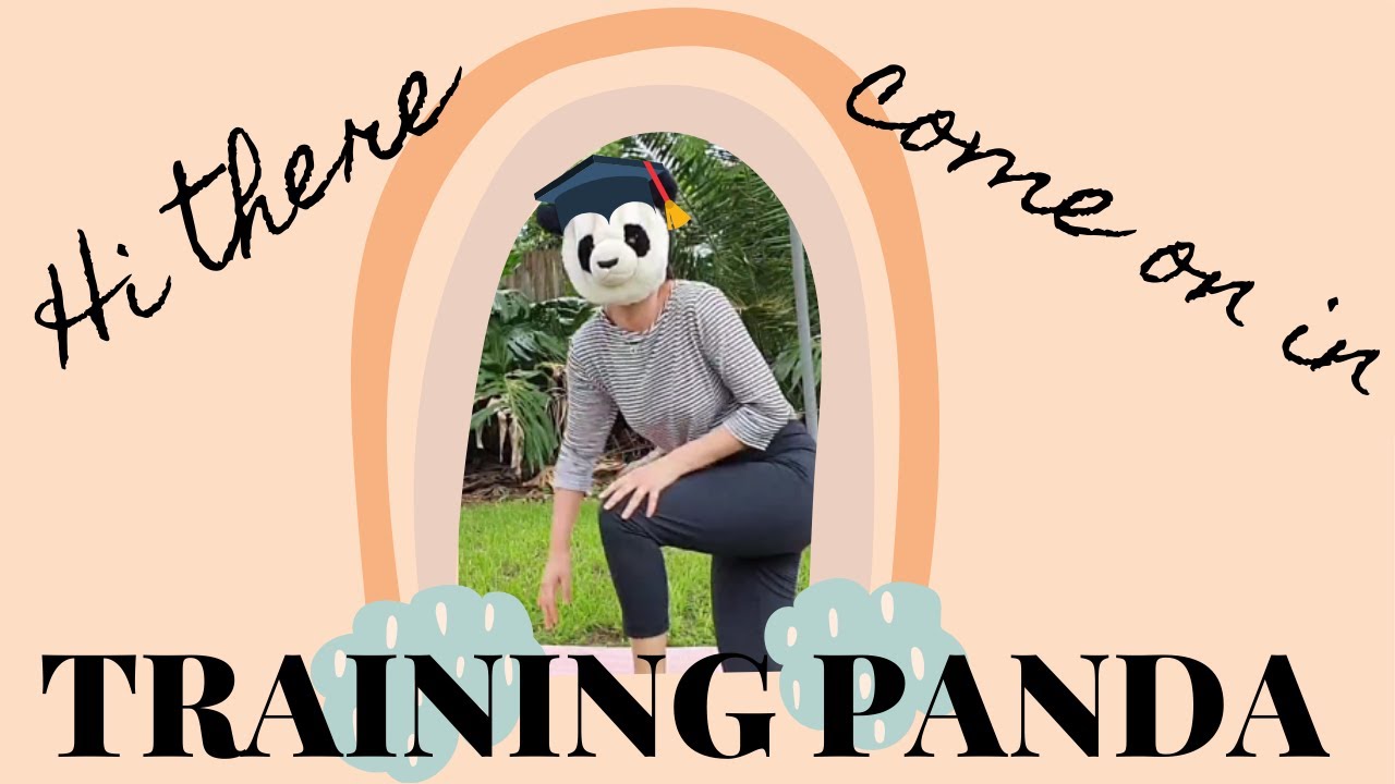 [Training Panda] Episode 5 - Panda attempts MATHS while doing yoga ...