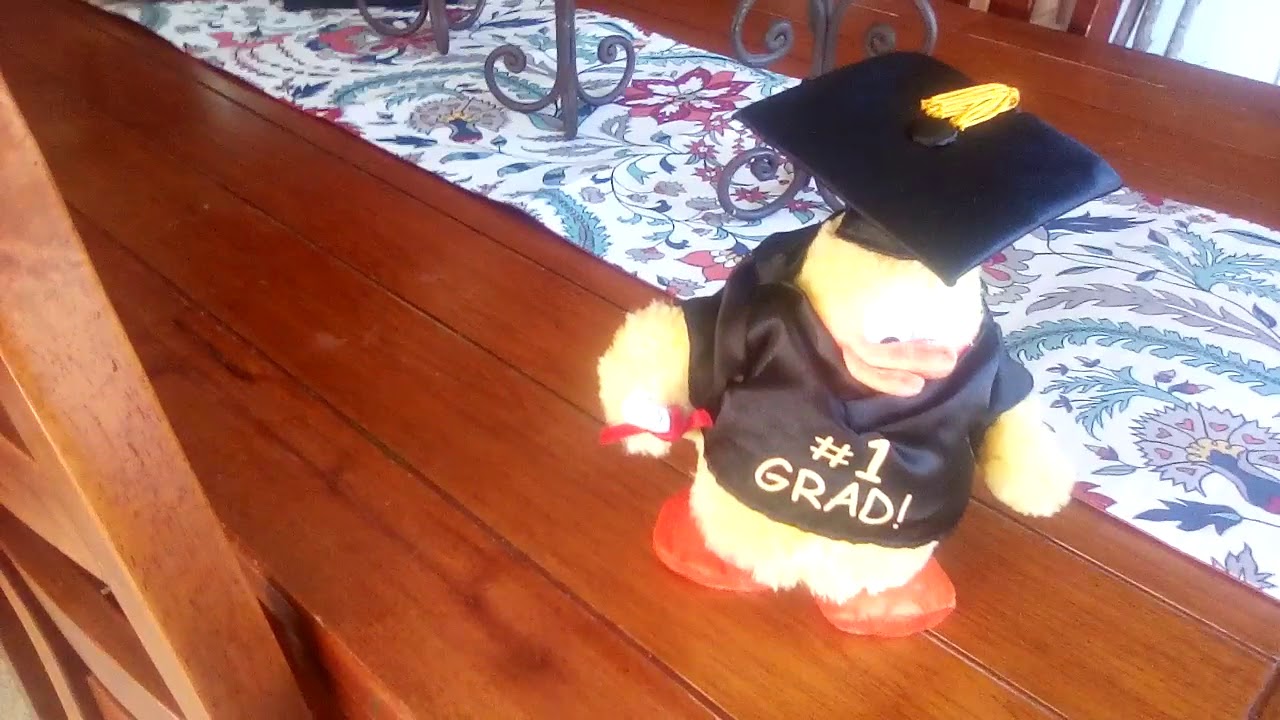 2008/2009 8" graduation animated dandee chicken!!!!🐥🐥🐥 - YouTube