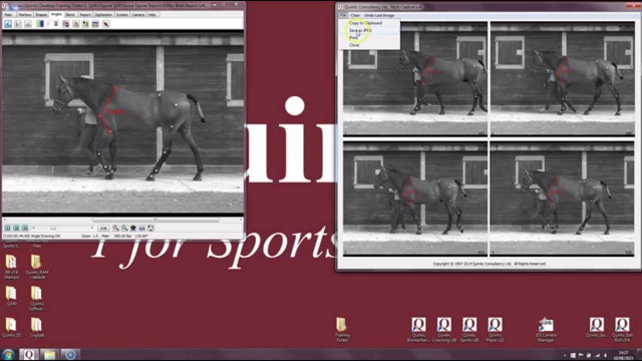 Equine Biomechanics - Static frame quantitative analysis - YouTube