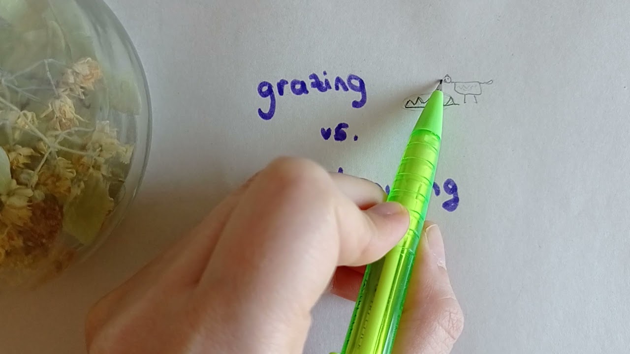 Confusing w/ meaning? GRAZING vs BROWSING _Memorization Techniques #7 ...