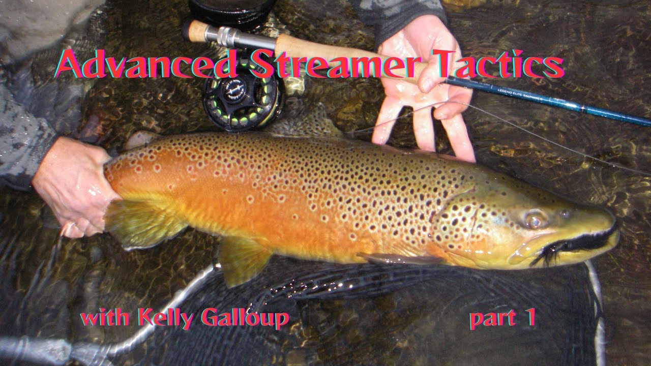 Advanced Streamer Fishing Tactics with Kelly Galloup, Part 1 of ...