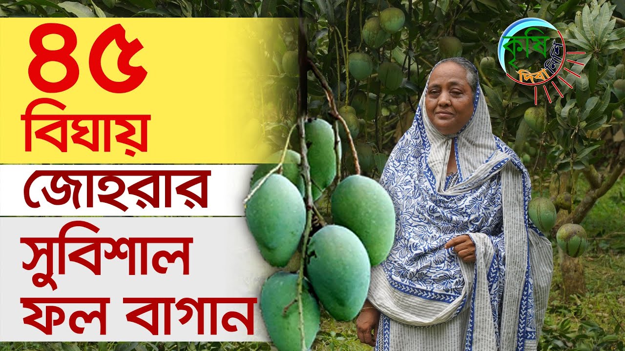 স্কুল শিক্ষক জোহরা আক্তারের কৃষি সাফল্য | কৃষি দিবানিশি | Shykh Seraj ...